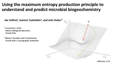 Using The Maximum Entropy Production Principle To Understand