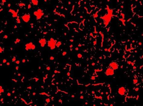 Result Of The Detection Performed On The Corrected Images By 4 Selected Download Scientific