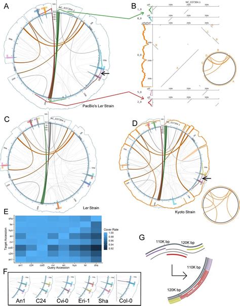 Results Using Real Datasets In B And D We Present The Schematic