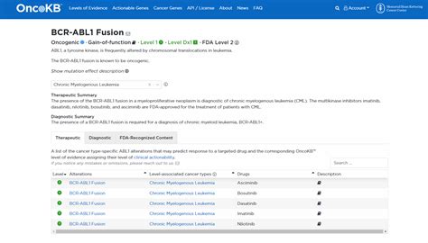 generate mockups on how to display descriptions on public website