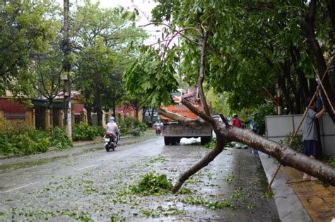 Disaster Preparedness What To Do Before During And After A Typhoon