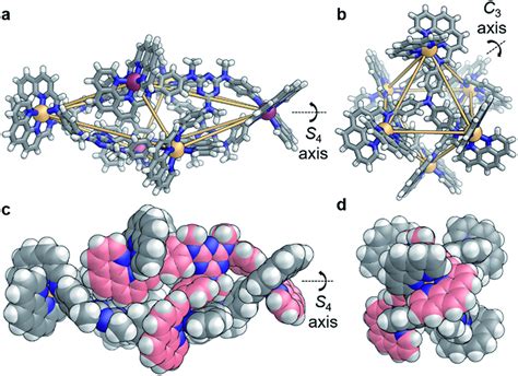 X Ray Crystal Structures Of A 4 And B 1 Δcoii Orange Λ Coii