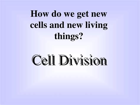 PPT Cell Division The Process Of Growth And Reproduction PowerPoint Presentation ID