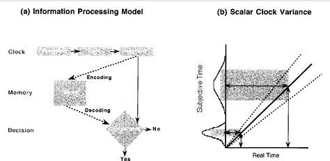 Figure From Journal Of Cognitive Neuroscience Semantic Scholar