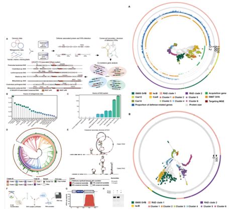 西湖大学基因编辑