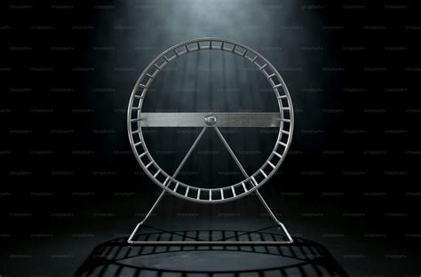 Hamster Wheel Pictures Download Free Images On Unsplash