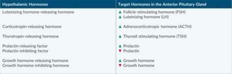 APEX Unit Endocrine Flashcards Quizlet
