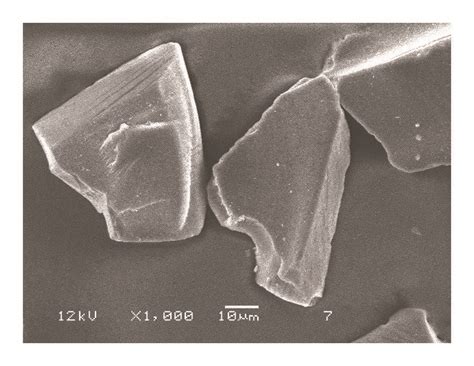 Sem Image Of A Sio2 B Sio2 Iminesa C Sio2 Iminesa Pd Ii D