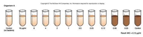 Antimicrobial Susceptibility Assays And Molecular Assays 2009 Flashcards Quizlet