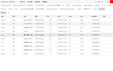 GitHub HeBianGu Avalonia Controls Avalonia控件库