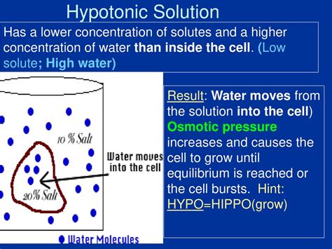 Chapter 7 3 Notes Part 2 Types Of Transport Ppt Download