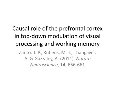 Ppt The Prefrontal Cortex In Top Down Visual Modulation And Memory