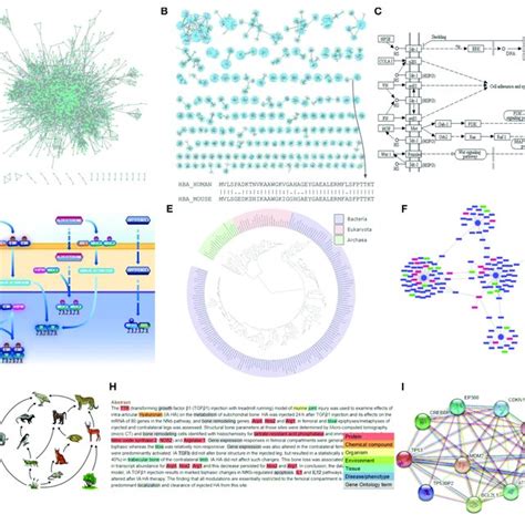 Examples Of Biological Networks A A Protein Protein Interaction