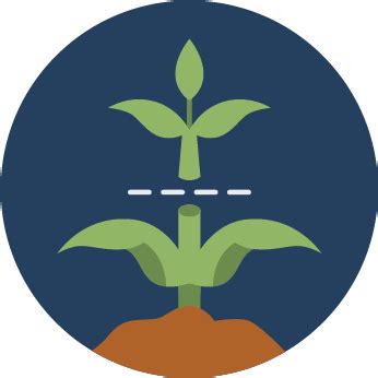 Contact Tree Removal In Michigan Indiana And Ohio