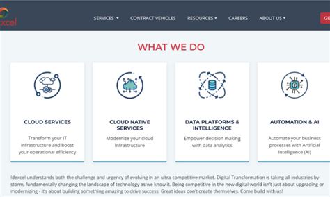 Idexcel Reviews And Clients Designrush