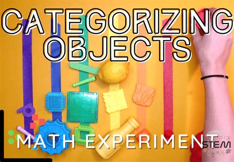 Fun With Sorting And Classifying Categorizing Household Objects
