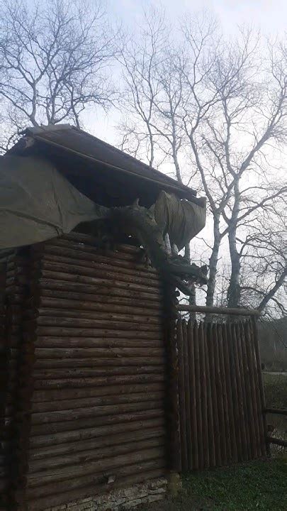 игра пристолов Youtube