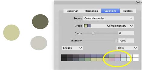 What Should Happen If I Tap Create Color Scheme Vectorstyler