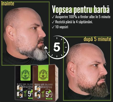 Vopsea Pentru Barba Si Par Mens Master Professional 10 X 25ml Saten