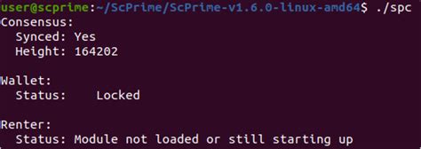 Linux Setup ScPrime Cloud Storage