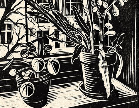 Questech Logo Design And Branding Behance