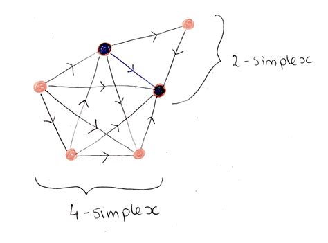 Understanding The Brain Using Topology The Blue Brain Project Picture This Maths