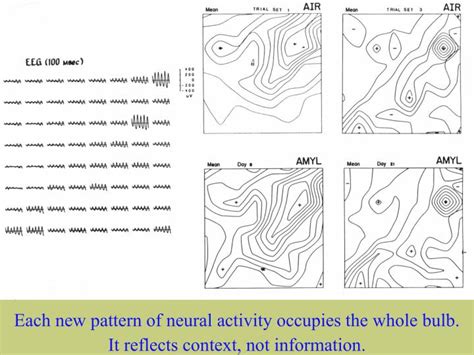 ppt spatial patterns of eeg powerpoint presentation free download