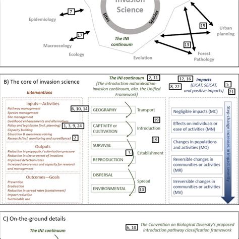 a tentative hierarchical structure linking frameworks in invasion