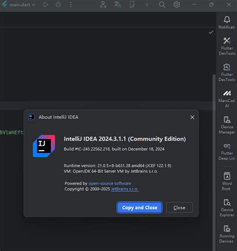 Do Not See The Android Tool Logcat Device Explorer In Intellij Idea 2024311 Stack
