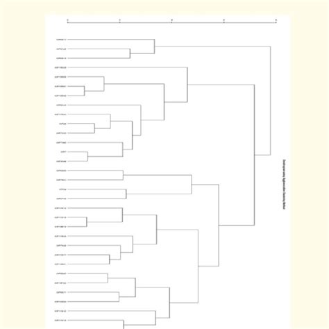Grouping Of Cultivar Based On Clustering Upon Agronomic Characteristics