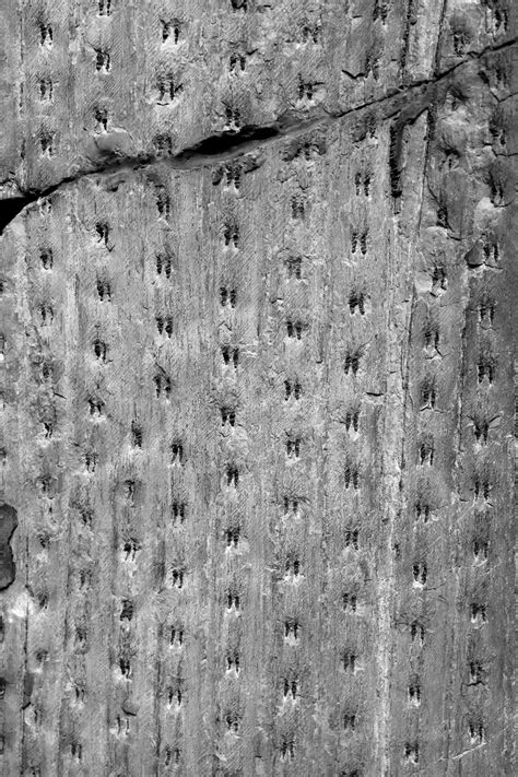 Julia Wright Jewellery Textiles Fossil Fascination