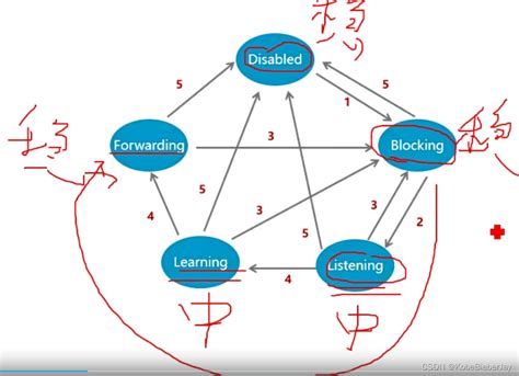 Stp的端口状态，bpdu，计时器stp什么时候端口变为阻塞端口 Csdn博客
