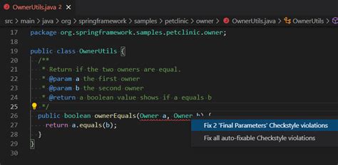 mastering java code formatting from the command line