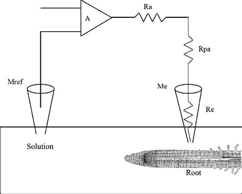 3 The Measurement Set Up Of An Ion Selective Microelectrode Download
