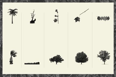 30 Realistic Tree Brushes For Photoshop Inventicons