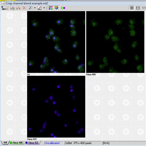 Proper RGB Conversion Of Multichannel Images Austin S Imaging Blog