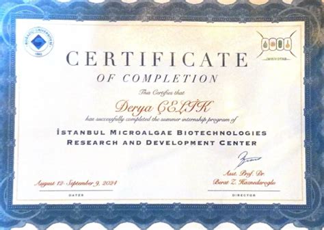 Dear Connections I Have Successfully Completed My 3 Month Internship