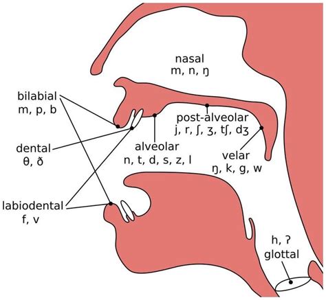 Phonology Phonology Map Map Screenshot