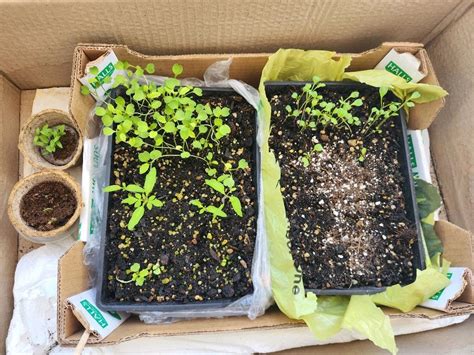 Update On Lunch Its Coming Along Nicely Aidan Bailey