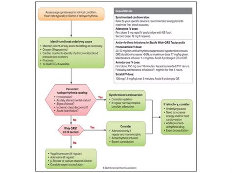 Als Algorithm Update 2020pptx