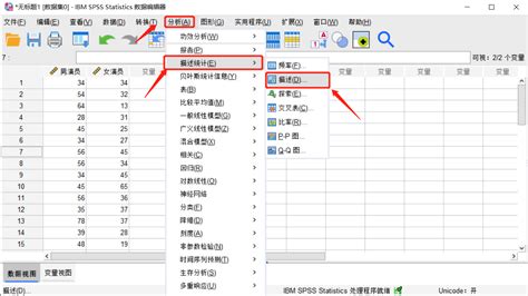 spss描述性统计分析教学 ibm spss statistics 中文网站