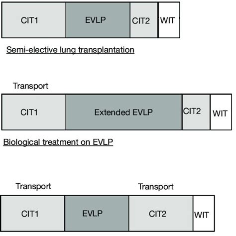 Schema Of Emergent Clinical Applications Of Evlp A Evlp As A Download Scientific Diagram