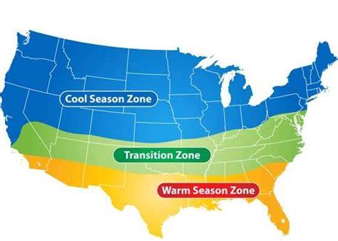 The Ultimate Bermudagrass Guide Benefits Care And Best Varieties Ng Turf