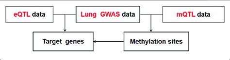 The Process Of Gwas Eqtl And Mqtl Conjoint Analysis Download
