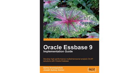 Essbase Calc Commands And Functions Oracle Essbase Implementation Guide Book