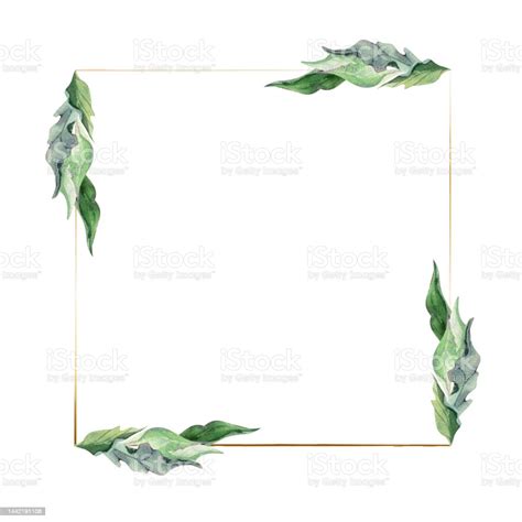 손으로 그린 섬세한 분홍색 모란 꽃 새싹 및 잎이 있는 수채화 사각형 프레임 배열 흰색 배경에 격리 초대장 결혼식 사랑 또는 인사말 카드 종이 인쇄 섬유 잎에 대한 스톡