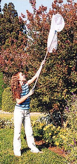 Extendable Insect Net