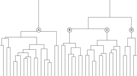 dendrogram of numerical classification of oak forest vegetation in the