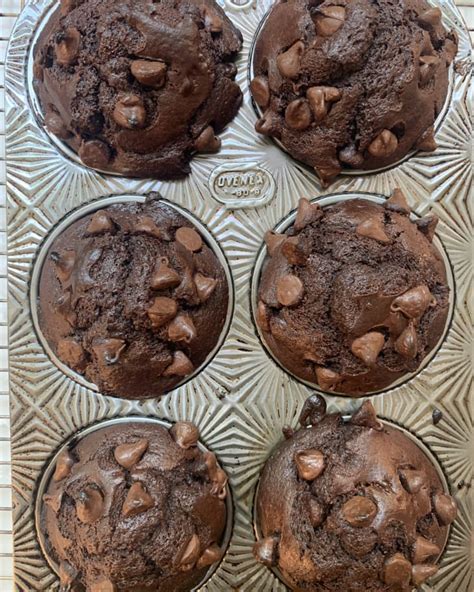 Copycat Costco Double Chocolate Chip Muffin Recipe Review The Kitchn