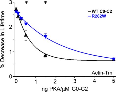 Effects Of R282w Hcm Mutant On Phosphorylation Modulated Binding To